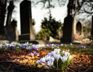 Recent Obituaries at Pittsburgh Cremation & Funeral Care
